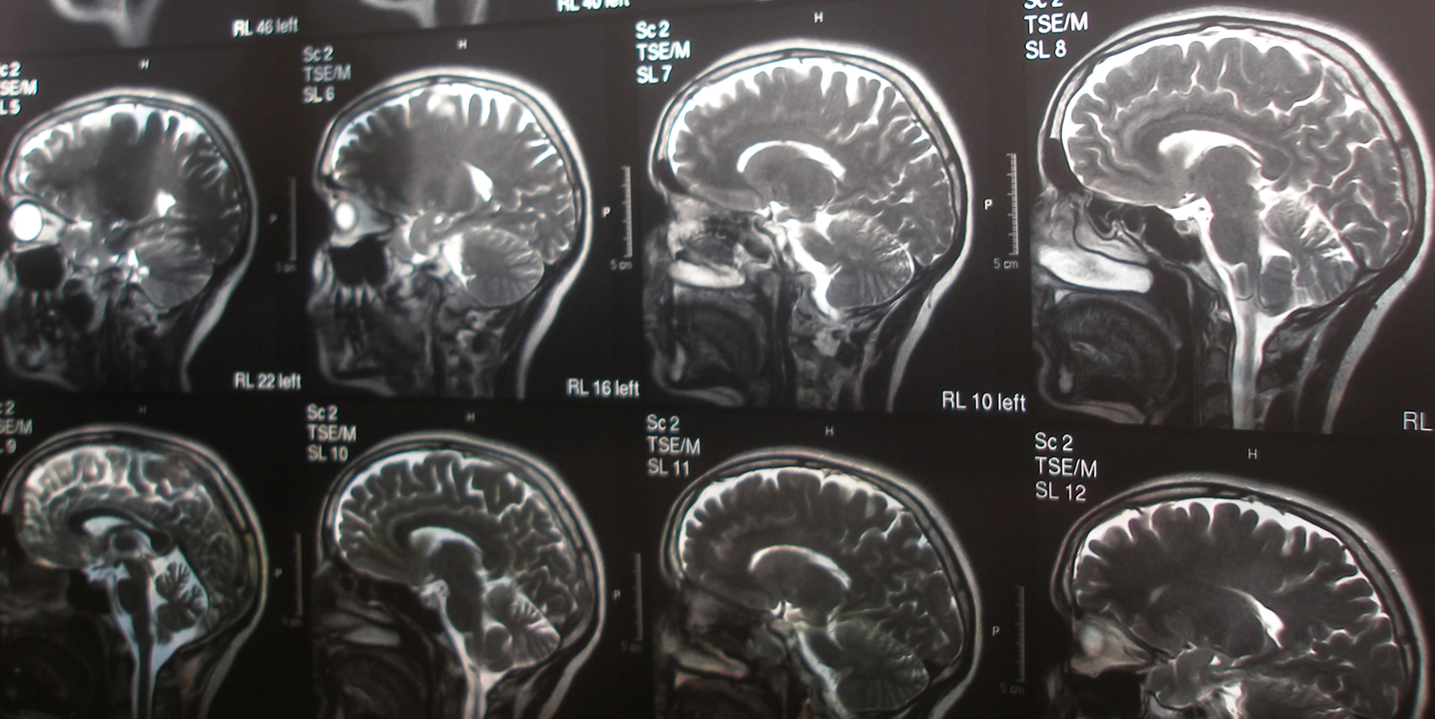 4 Common Misconceptions About How Our Brains Work - krisnoble.co.uk